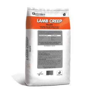 Lamb Creep Pellets - Kettridges